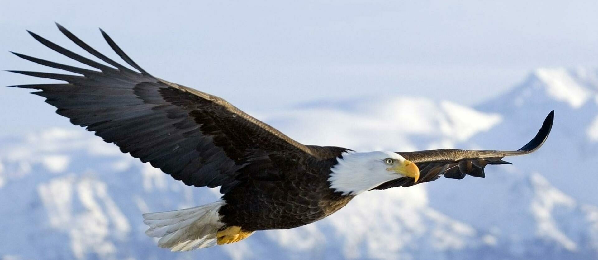 Gallery - Chellam logistics